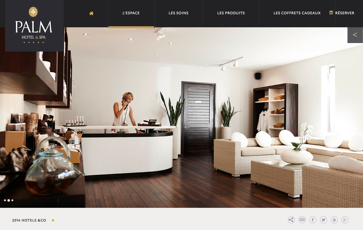 Palm Hotel & Spa - MEDIALIGHT - ESN Ile de La Réunion